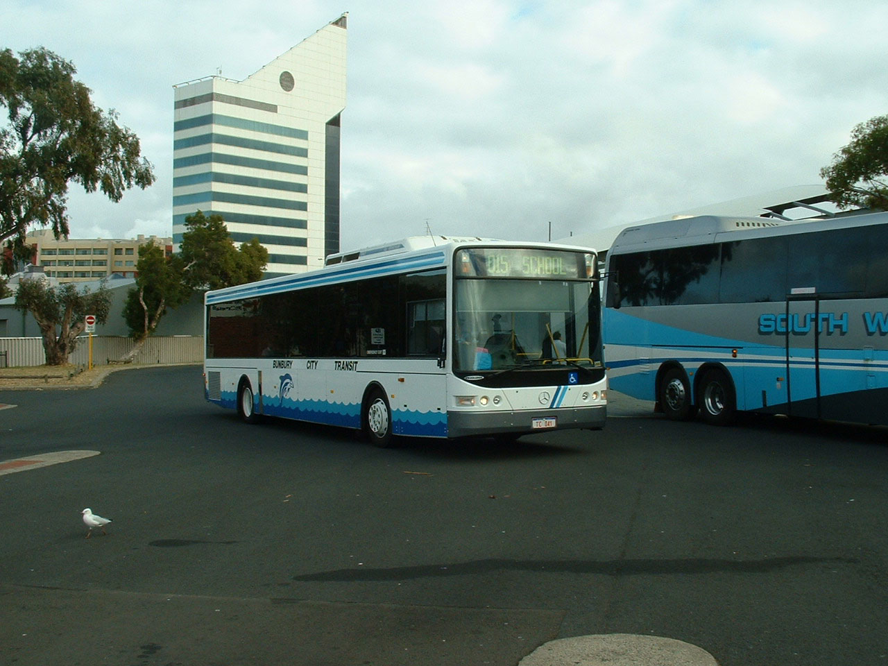 Bunbury City Transit TransBunbury Australia SHOWBUS BUS IMAGE