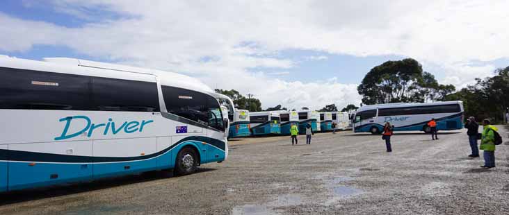 Driver Bus Lines | australia.SHOWBUS.com BUS IMAGE GALLERY