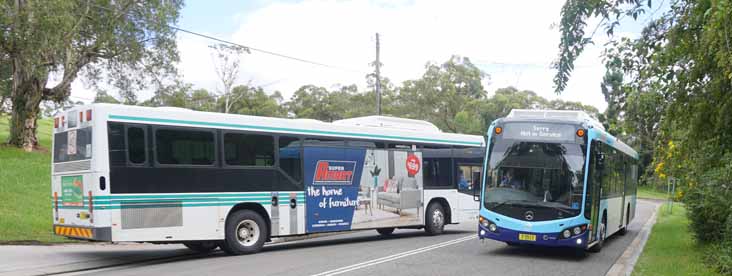 Forest Coach Lines | australia.SHOWBUS.com BUS IMAGE GALLERY