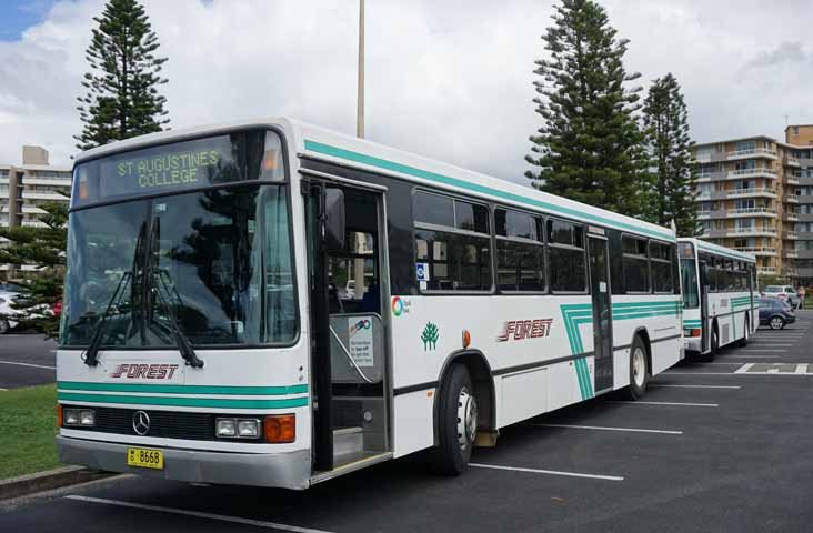 Forest Coach Lines | australia.SHOWBUS.com BUS IMAGE GALLERY