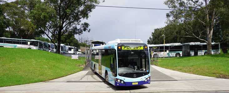 Forest Coach Lines | australia.SHOWBUS.com BUS IMAGE GALLERY