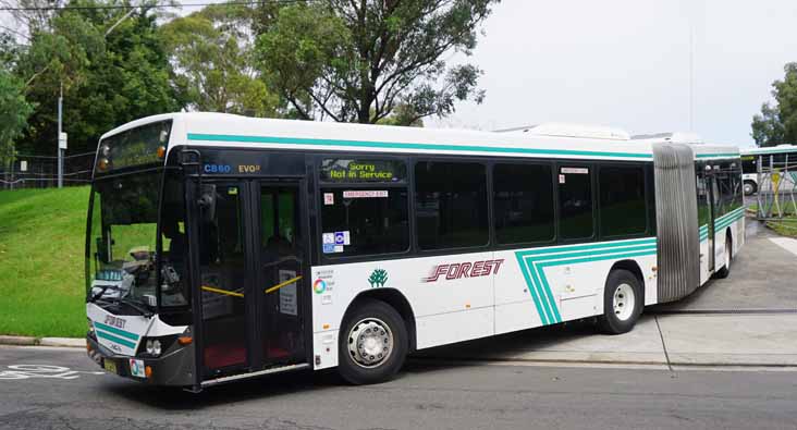 Forest Coach Lines | australia.SHOWBUS.com BUS IMAGE GALLERY