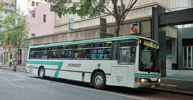 Forest Coach Lines | australia.SHOWBUS.com BUS IMAGE GALLERY