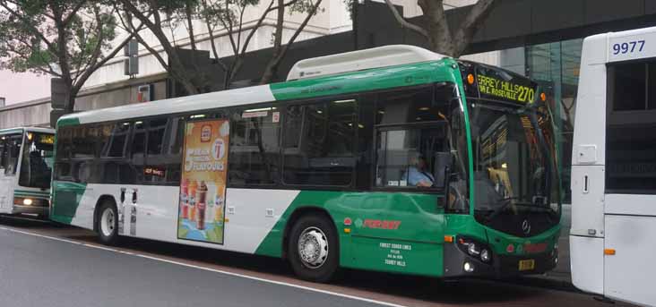 Forest Coach Lines | australia.SHOWBUS.com BUS IMAGE GALLERY