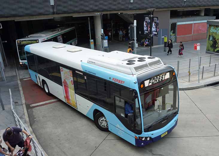 Forest Coach Lines | australia.SHOWBUS.com BUS IMAGE GALLERY
