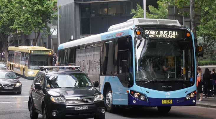 Forest Coach Lines | australia.SHOWBUS.com BUS IMAGE GALLERY