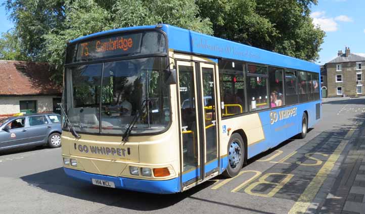 Go Whippet | SHOWBUS Bus Image Gallery | Anglia