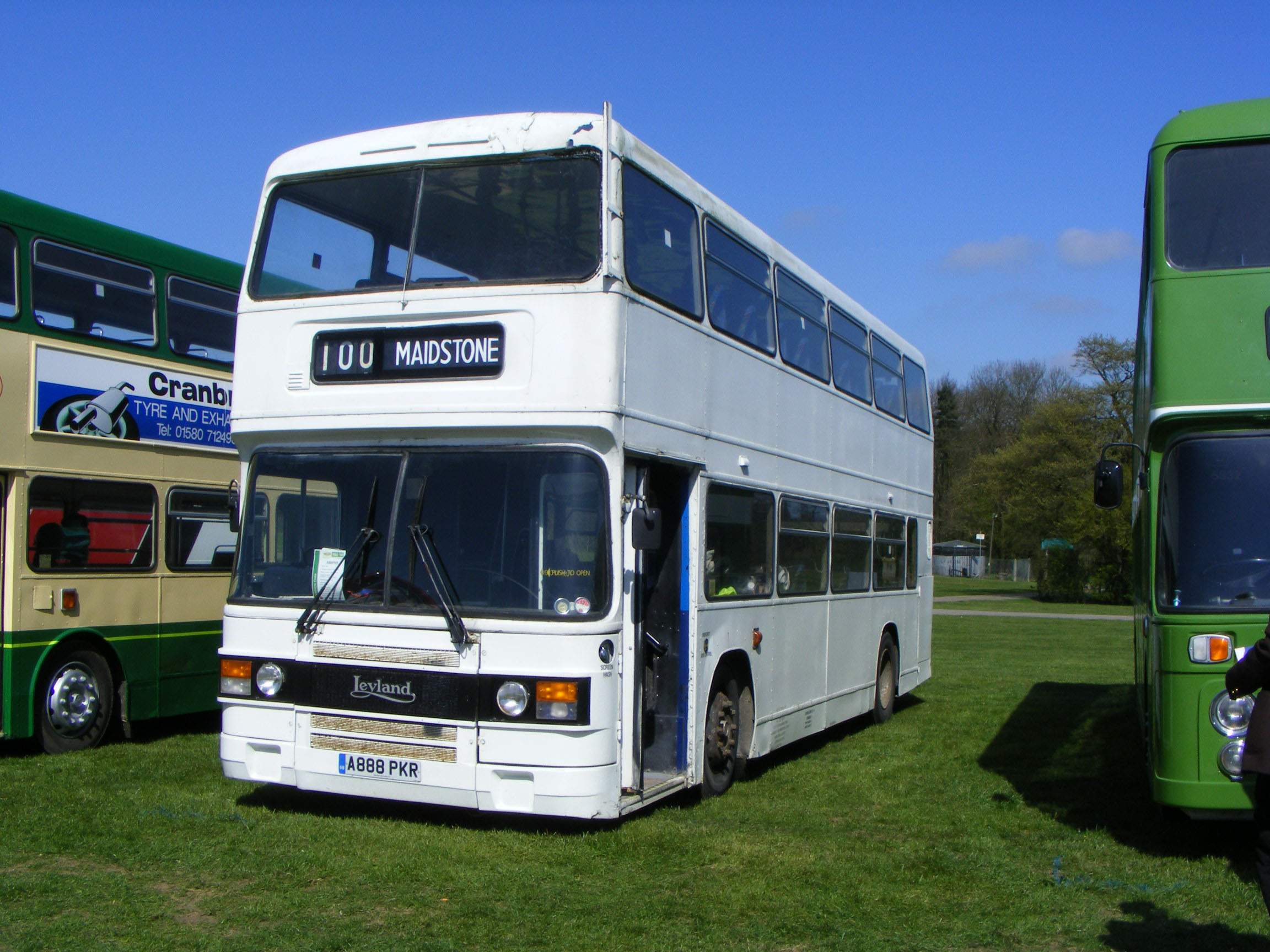Maidstone & District | The SHOWBUS Bus Image Gallery | Arriva Southern ...