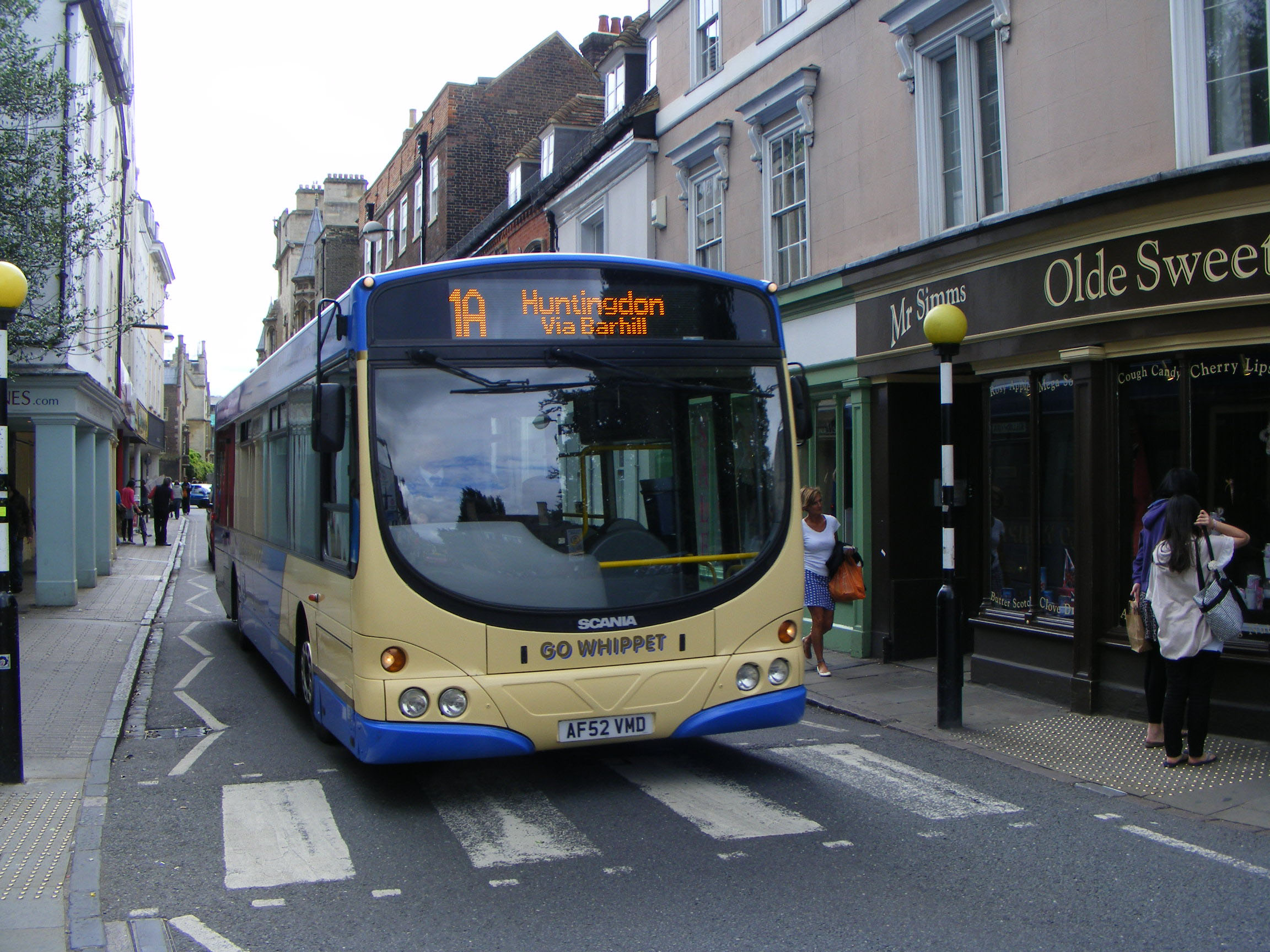 Go Whippet | SHOWBUS Bus Image Gallery | Anglia