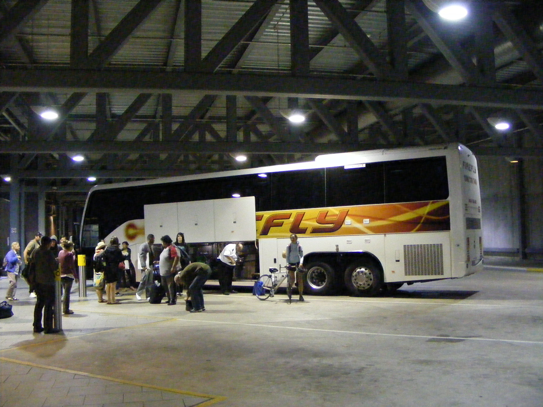 Firefly Express | australia.SHOWBUS.com BUS IMAGE GALLERY