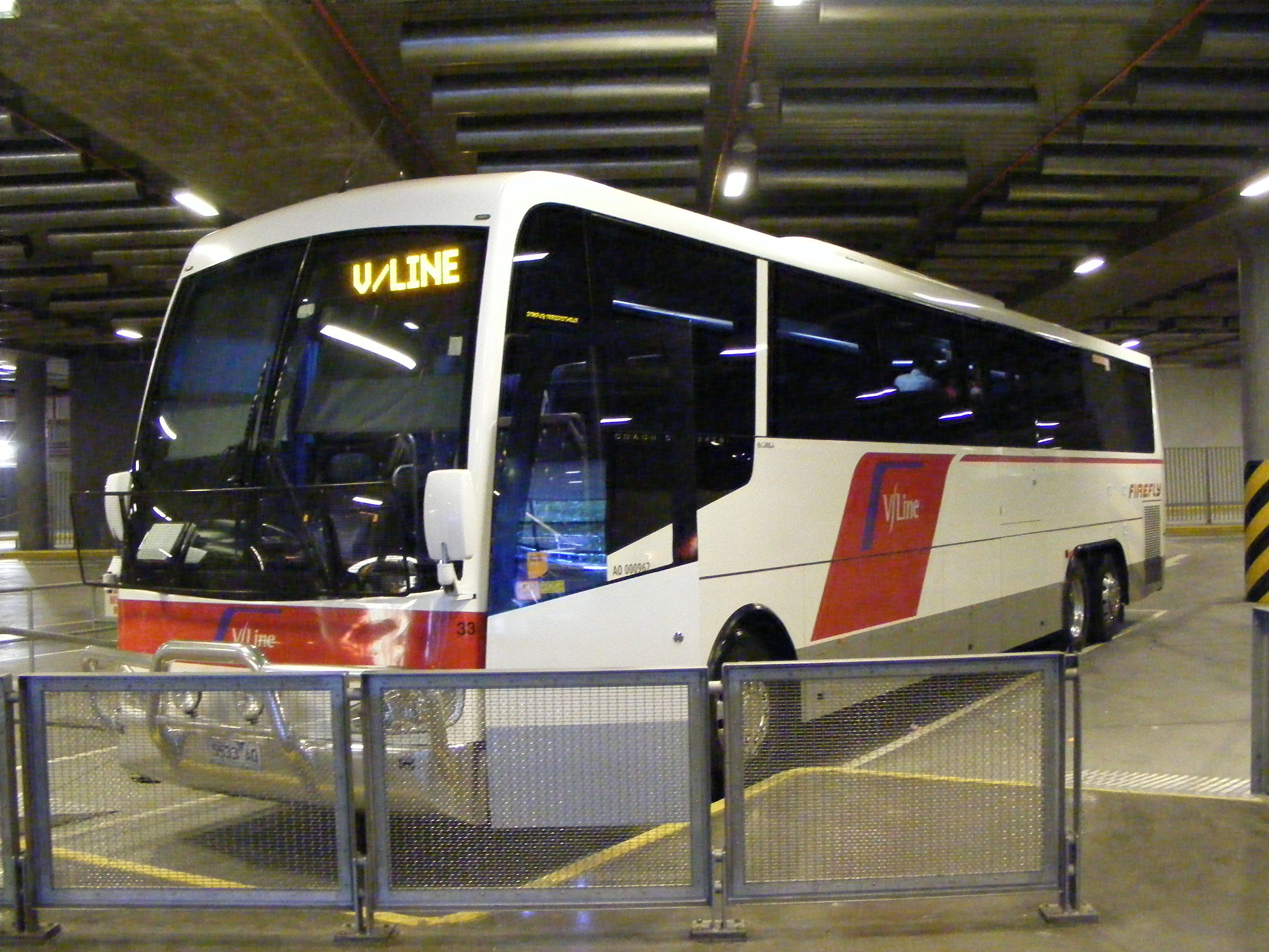 Firefly Express | australia.SHOWBUS.com BUS IMAGE GALLERY