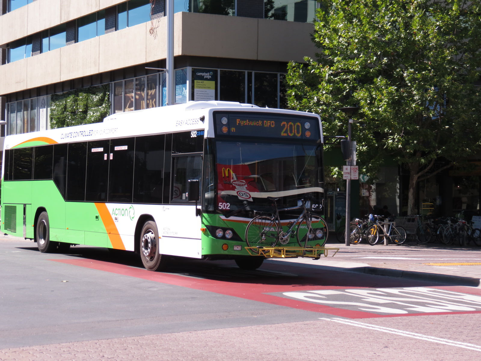 ACT ACTION | australia.SHOWBUS.com BUS IMAGE GALLERY | Australian ...