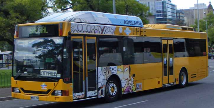 Adelaide Metro MAN rigid buses | australia.SHOWBUS.com PHOTO GALLERY