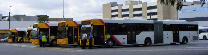 Adelaide Metro articulated buses | australia.SHOWBUS.com BUS IMAGE GALLERY